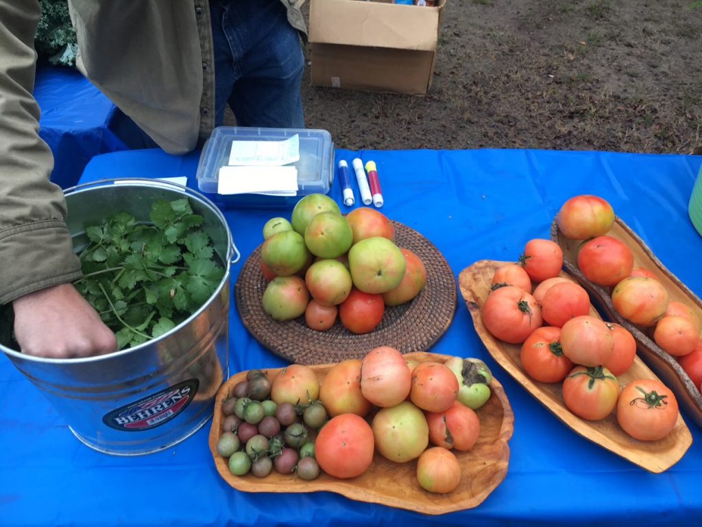 Farm - IDEA Public Schools