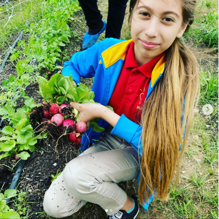 Thank You, Farmers: Celebrating National Farmers Day - IDEA Public Schools