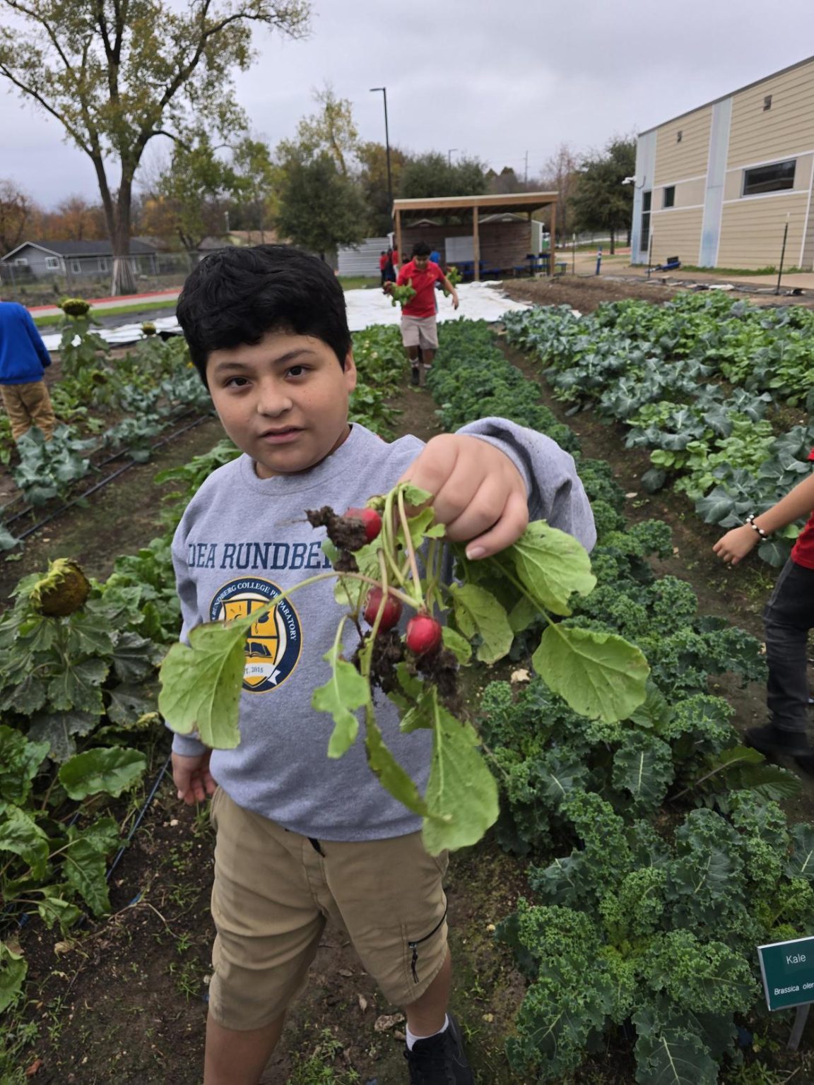 IDEA Rundberg Cultivates Growth with Junior Master Gardener ...